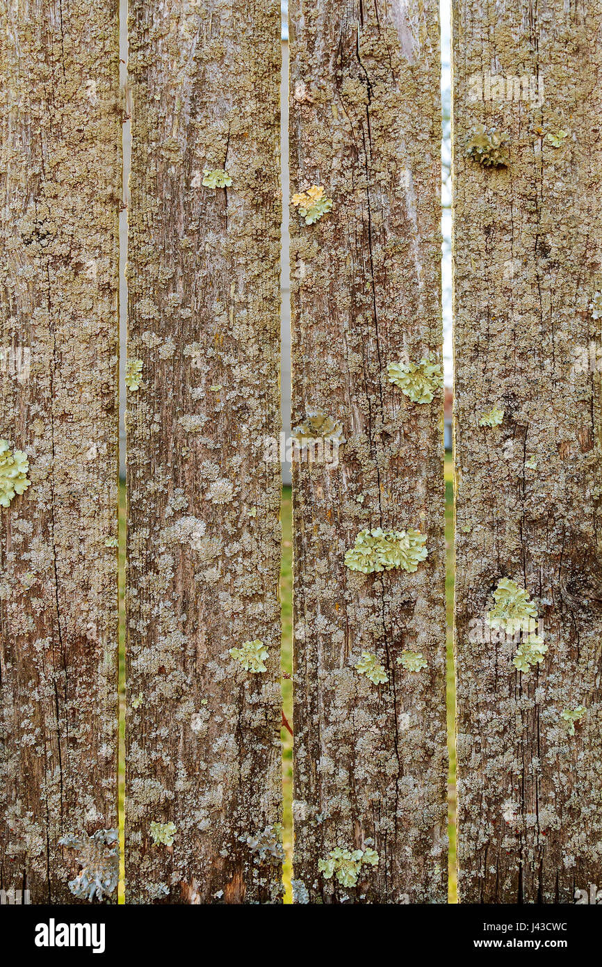 Beautiful wooden fence texture close-up Weathered wooden exterior wall ...