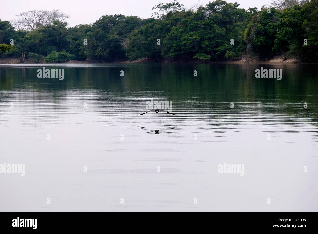 Pasion guatemala hi-res stock photography and images - Alamy