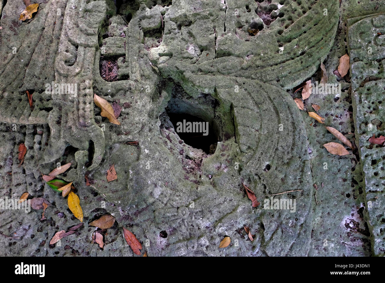 Ancient relief in El Peru Waka a pre-Columbian Maya archeological site ...