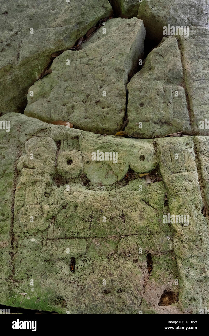 Ancient relief in El Peru Waka a pre-Columbian Maya archeological site ...