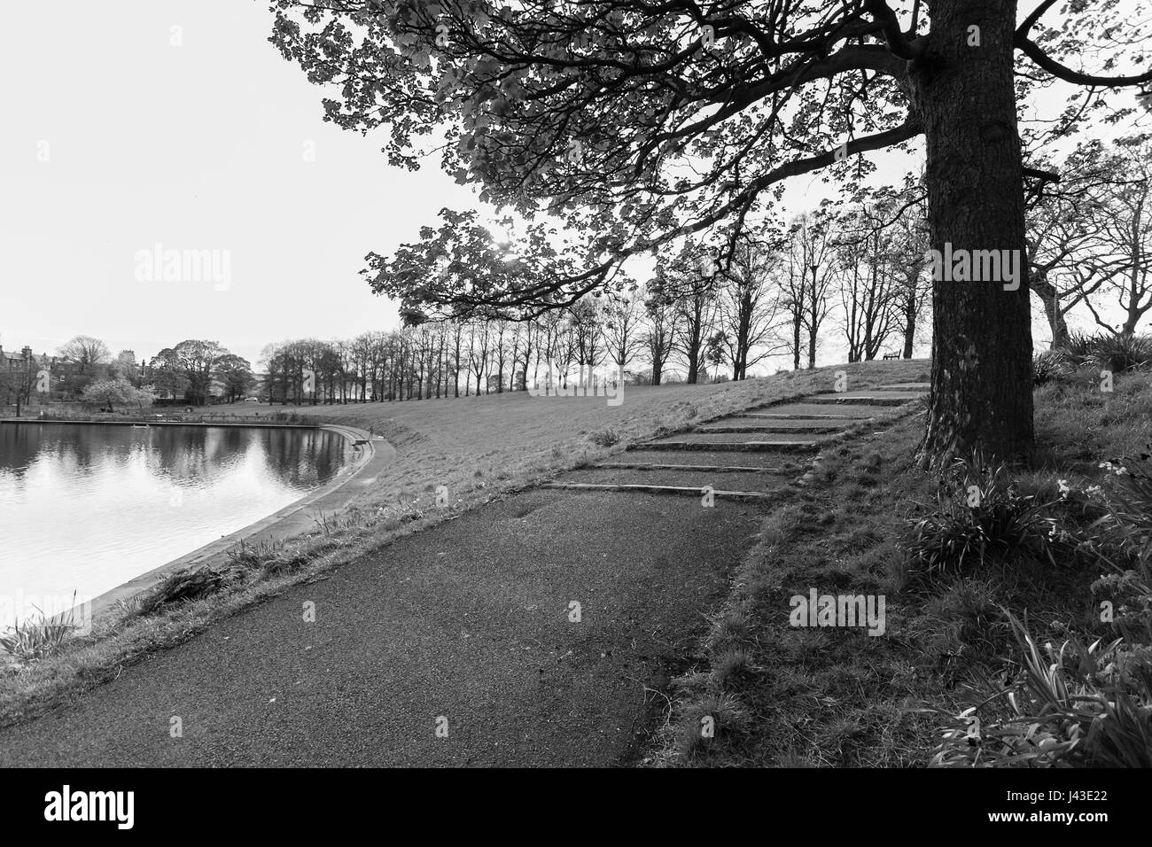 Atmospheric scene of pond, tree and footpath in black and white at ...