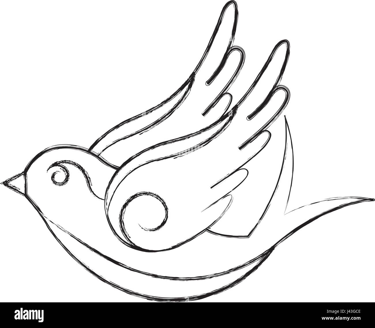 dove drawing isolated icon Stock Vector Image & Art - Alamy