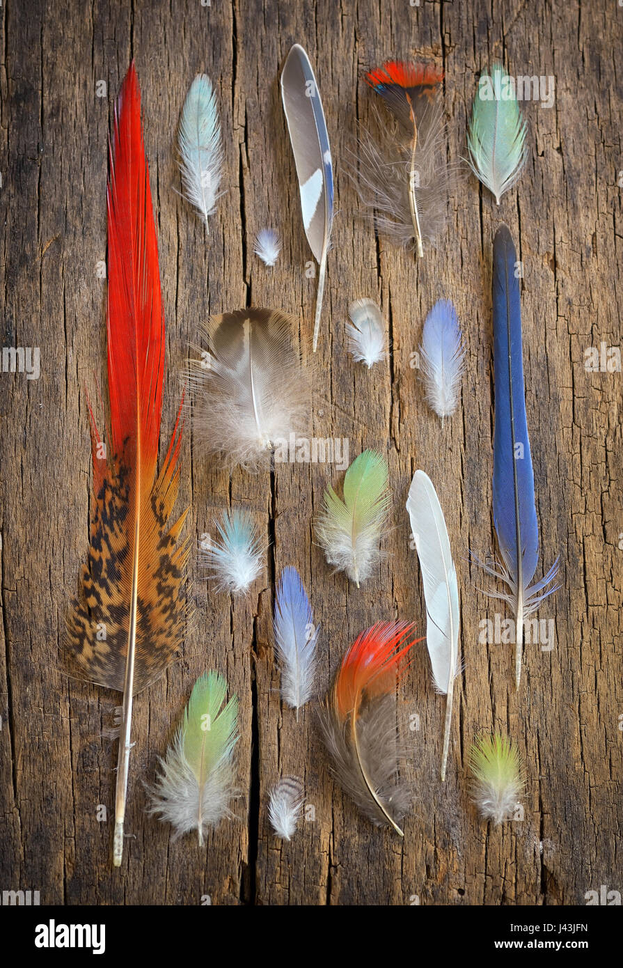 Collection of different color feathers on old wooden table Stock Photo ...