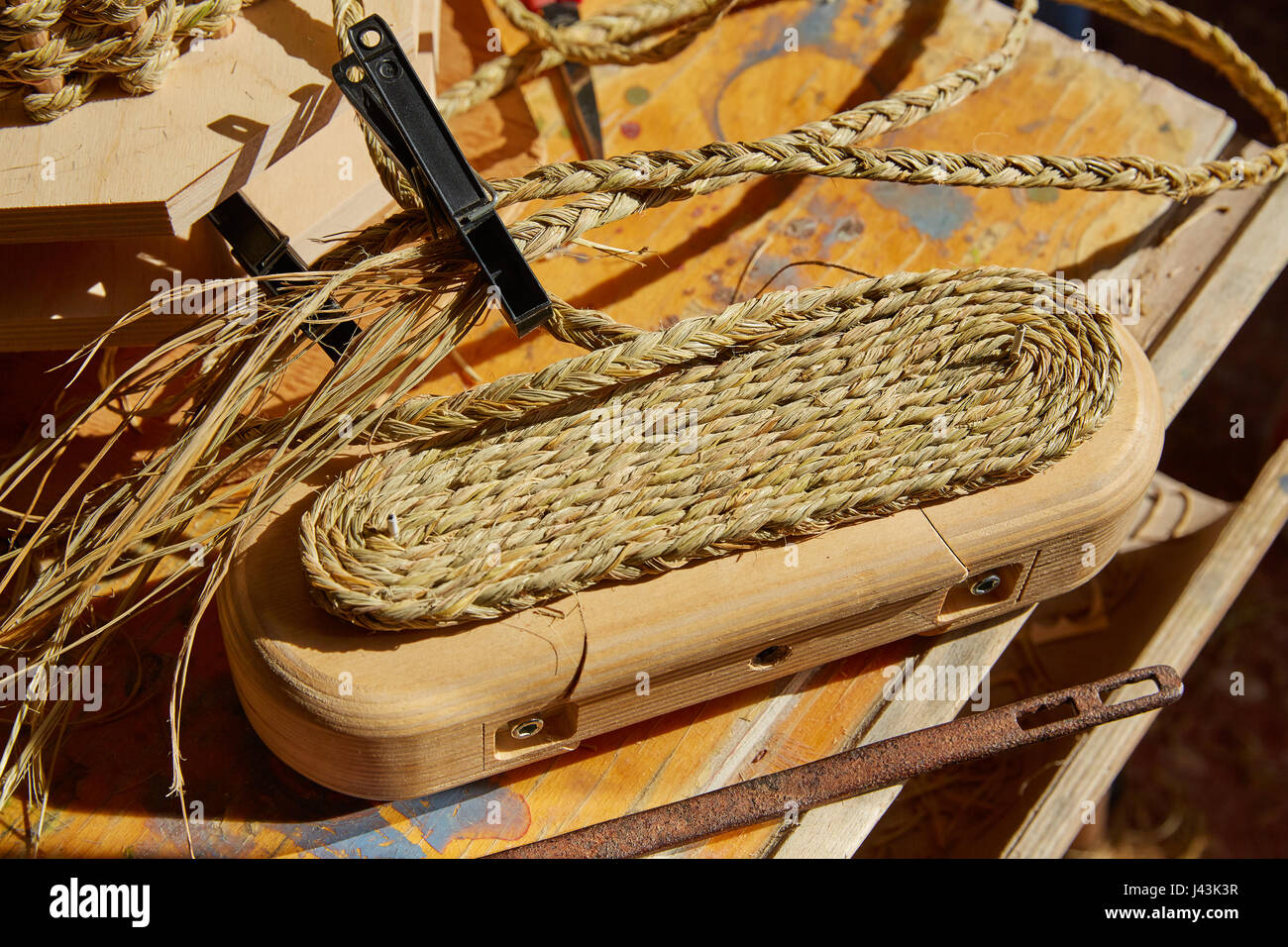 Esparto halfah grass used for crafts as cords basketry and espadrilles ...