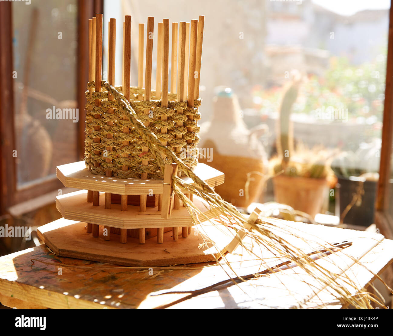 Esparto halfah grass used for crafts as cords basketry and espadrilles ...