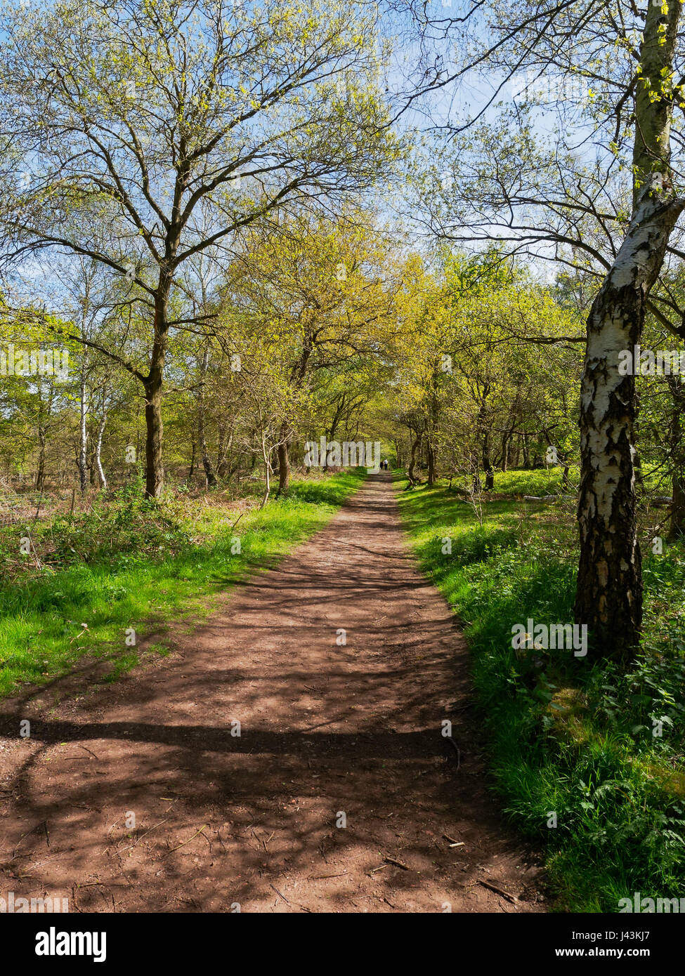 In the far distance a couple walk along a straight footpath in the ...