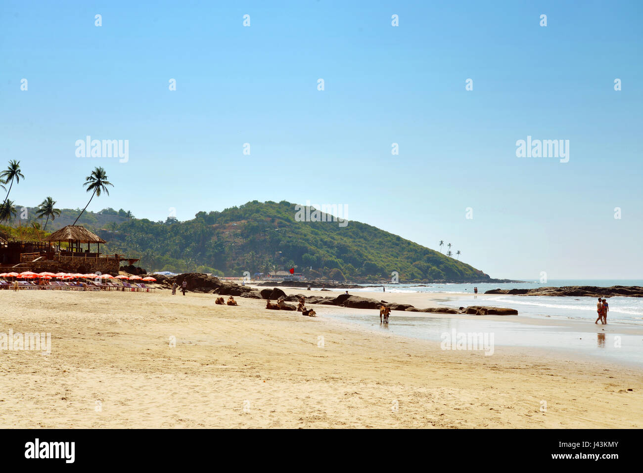 Coco beach goa hi-res stock photography and images - Alamy