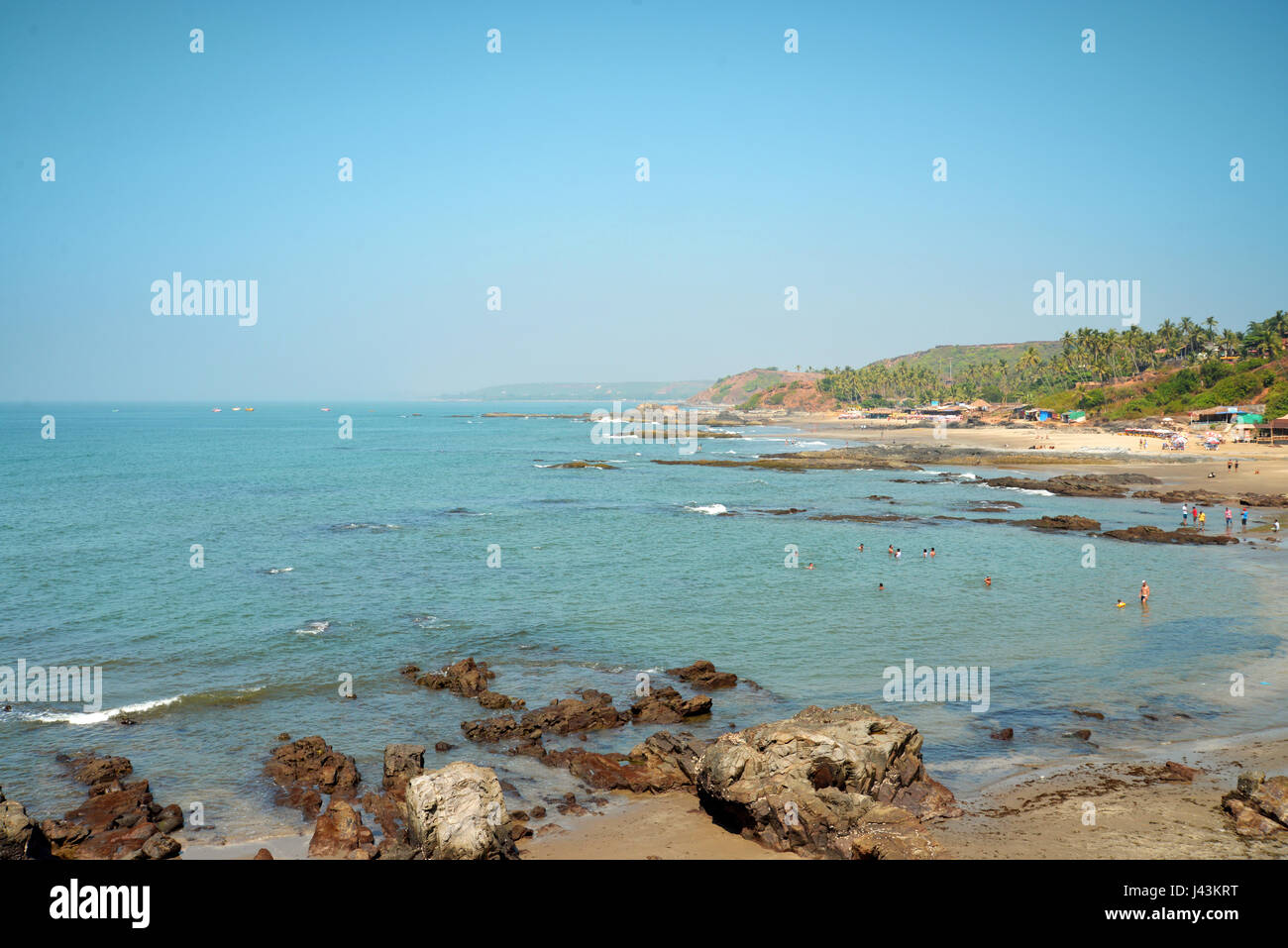 Beautiful Goa province beach in India with people and cows Stock Photo ...