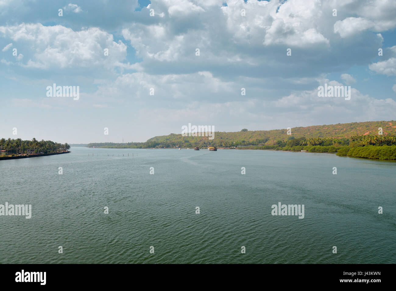 Tropical landscape with palm tree. GOA, Chapora River Stock Photo - Alamy