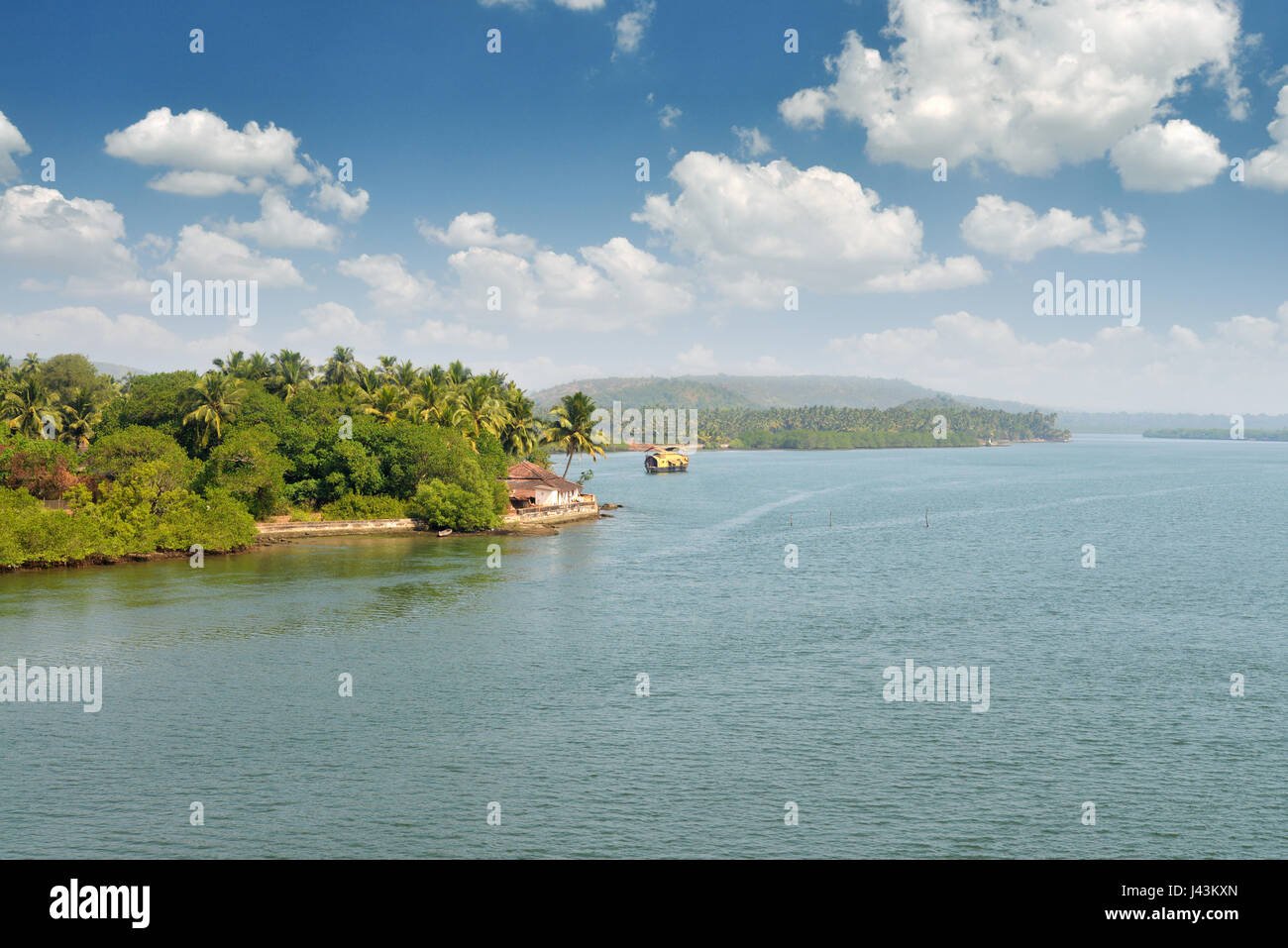 Tropical landscape with palm tree. GOA, Chapora River Stock Photo - Alamy