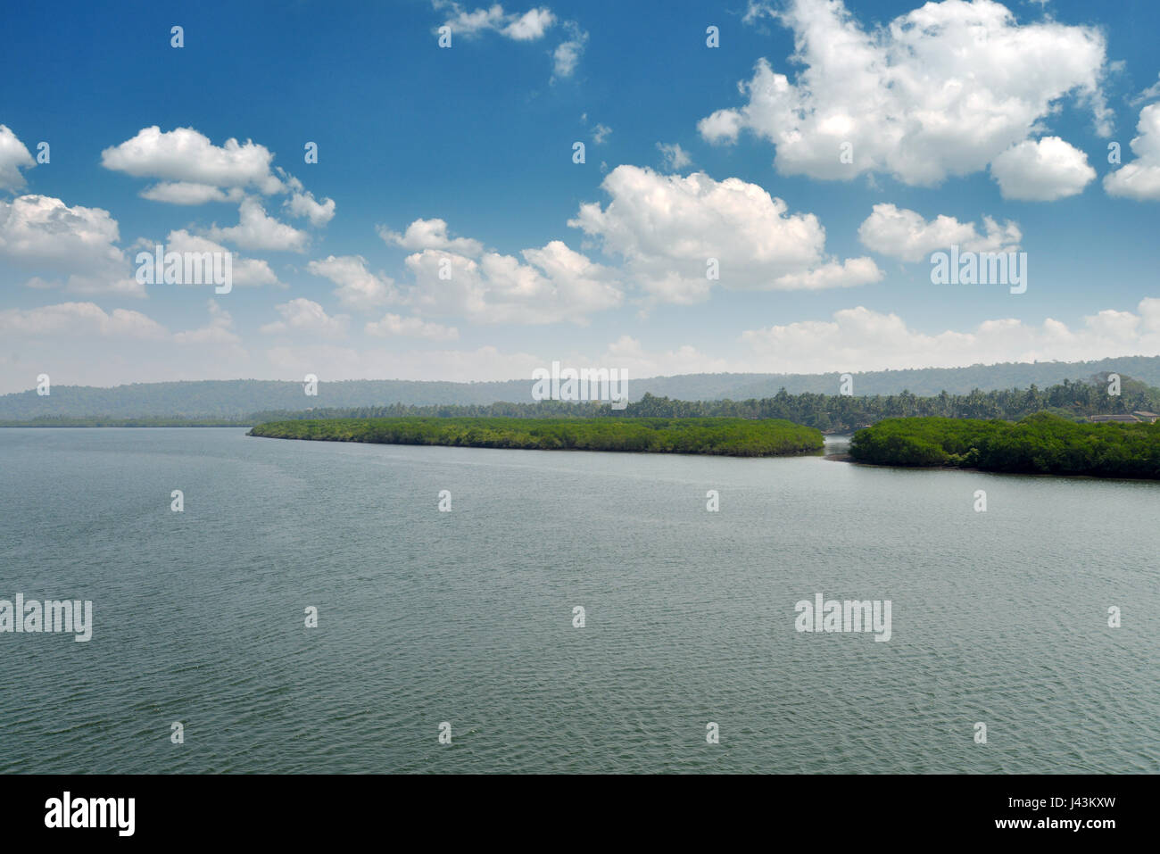Tropical landscape with palm tree. GOA, Chapora River Stock Photo - Alamy