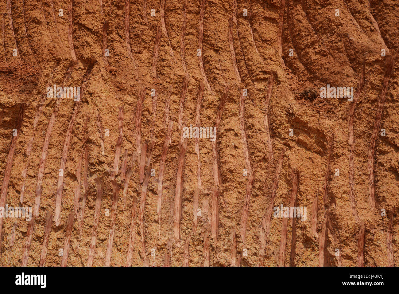 Indian soil hi-res stock photography and images - Alamy