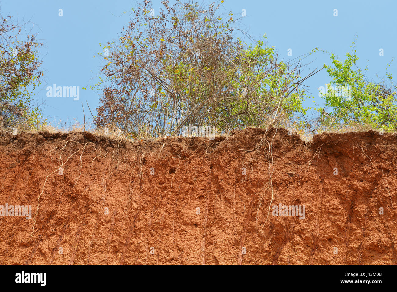 Indian Soil High Resolution Stock Photography and Images - Alamy
