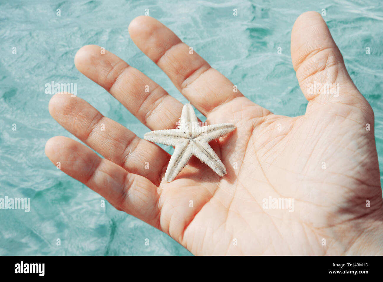 Man holding starfish in hands over sea background Stock Photo - Alamy