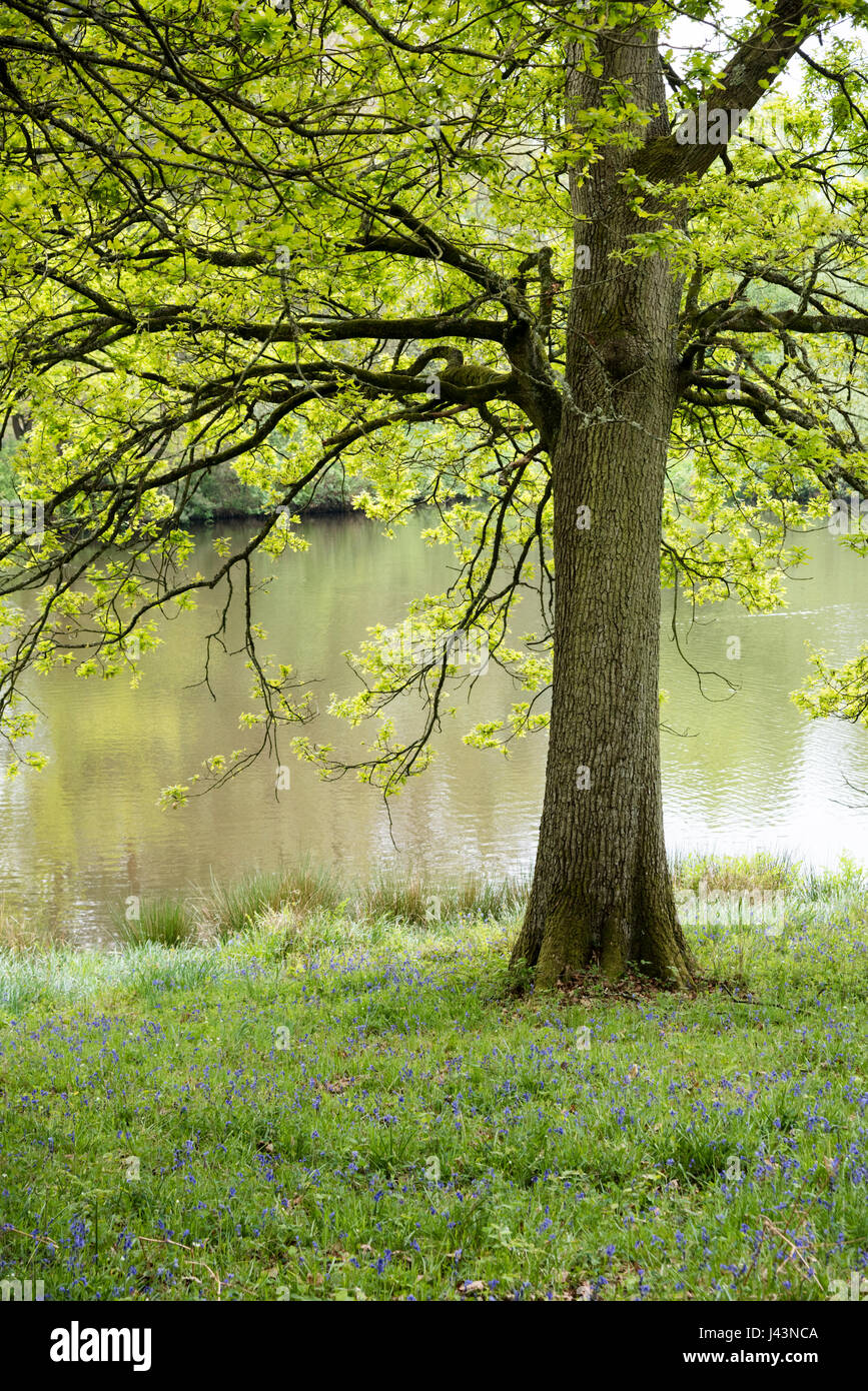 Twyford countryside hi-res stock photography and images - Alamy