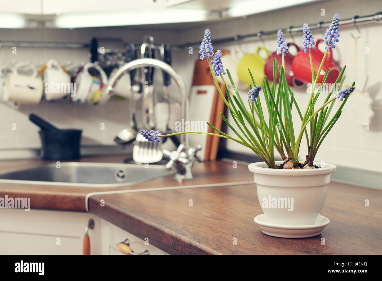 Pot on kitchen hi-res stock photography and images - Alamy
