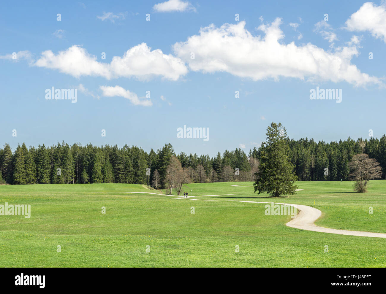 Grass track cycling hi-res stock photography and images - Alamy