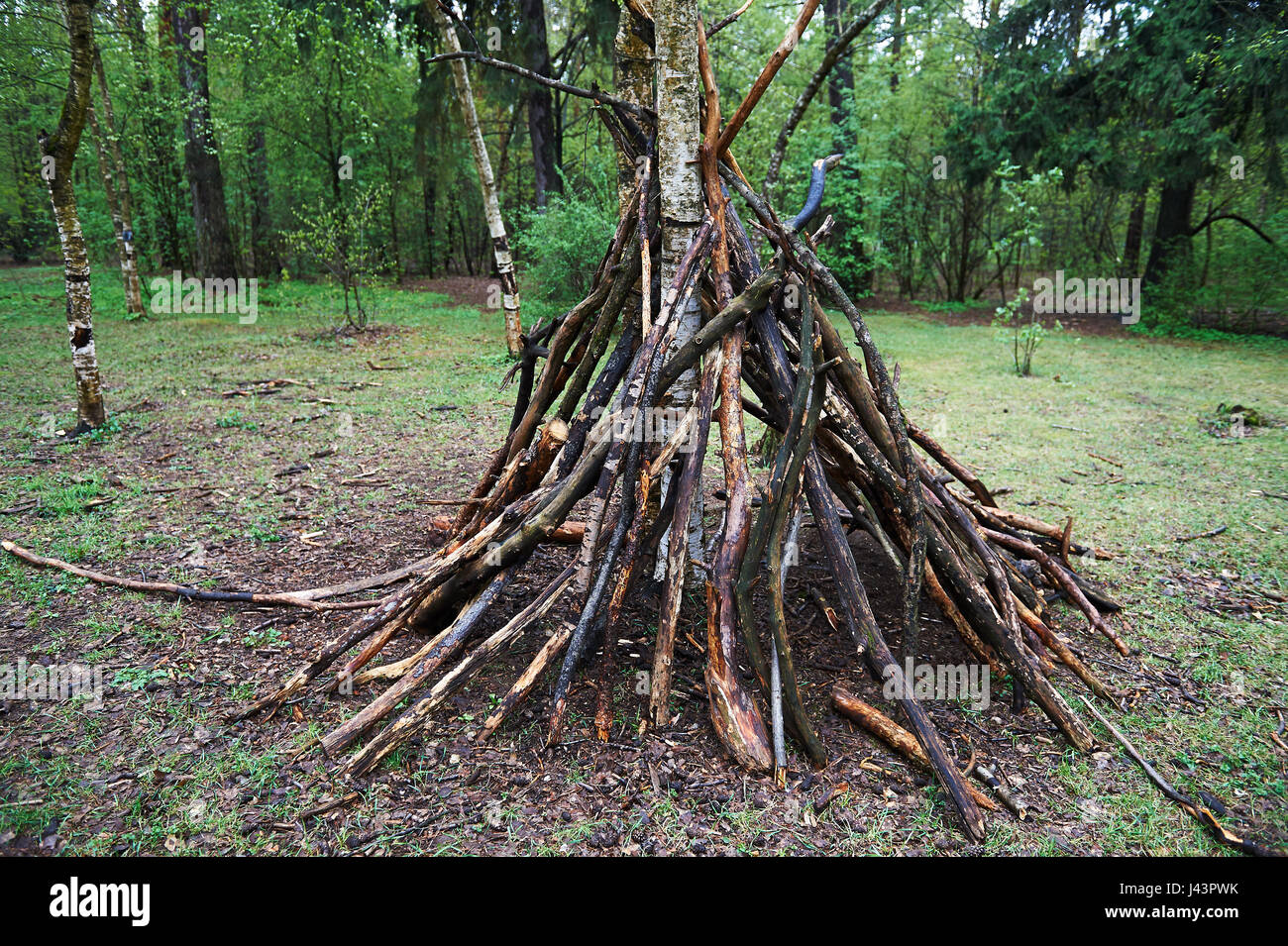 A hut of twigs in the forest. Nature, survival, the laws of life Stock ...