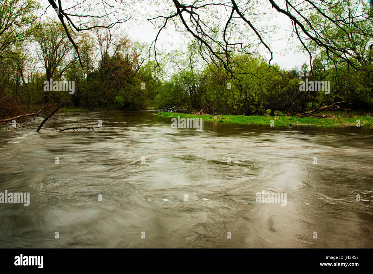 Swollen Speed River after heavy rain. Cambridge Ontario Canada Stock ...