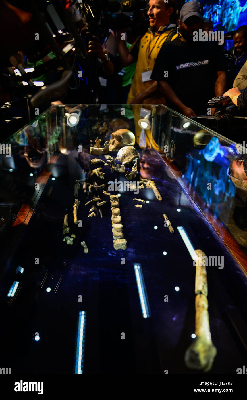 Homo naledi site hi-res stock photography and images - Alamy