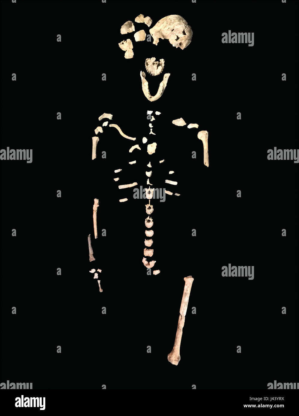 Rising star cave system hi-res stock photography and images - Alamy