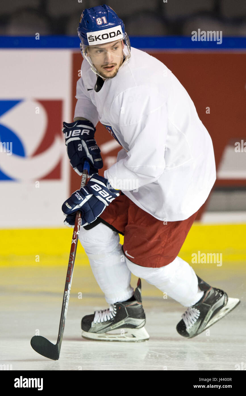 Training session Czech Republic national team, the Ice Hockey World ...