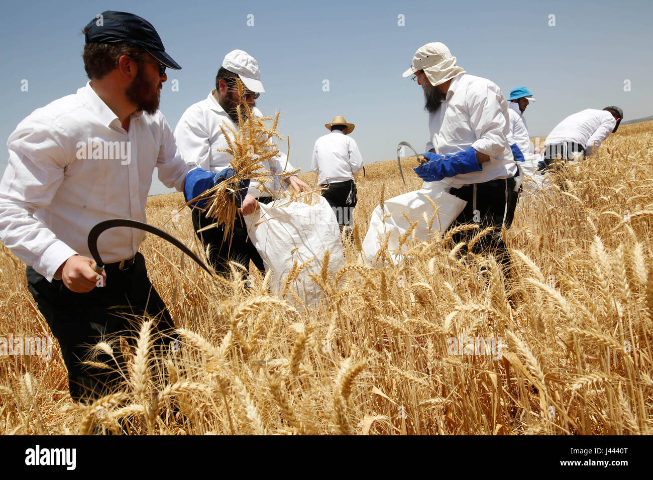 Horon hi-res stock photography and images - Alamy