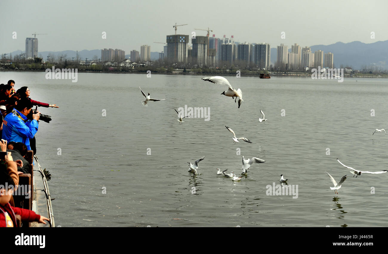 Zhang qian hi-res stock photography and images - Alamy