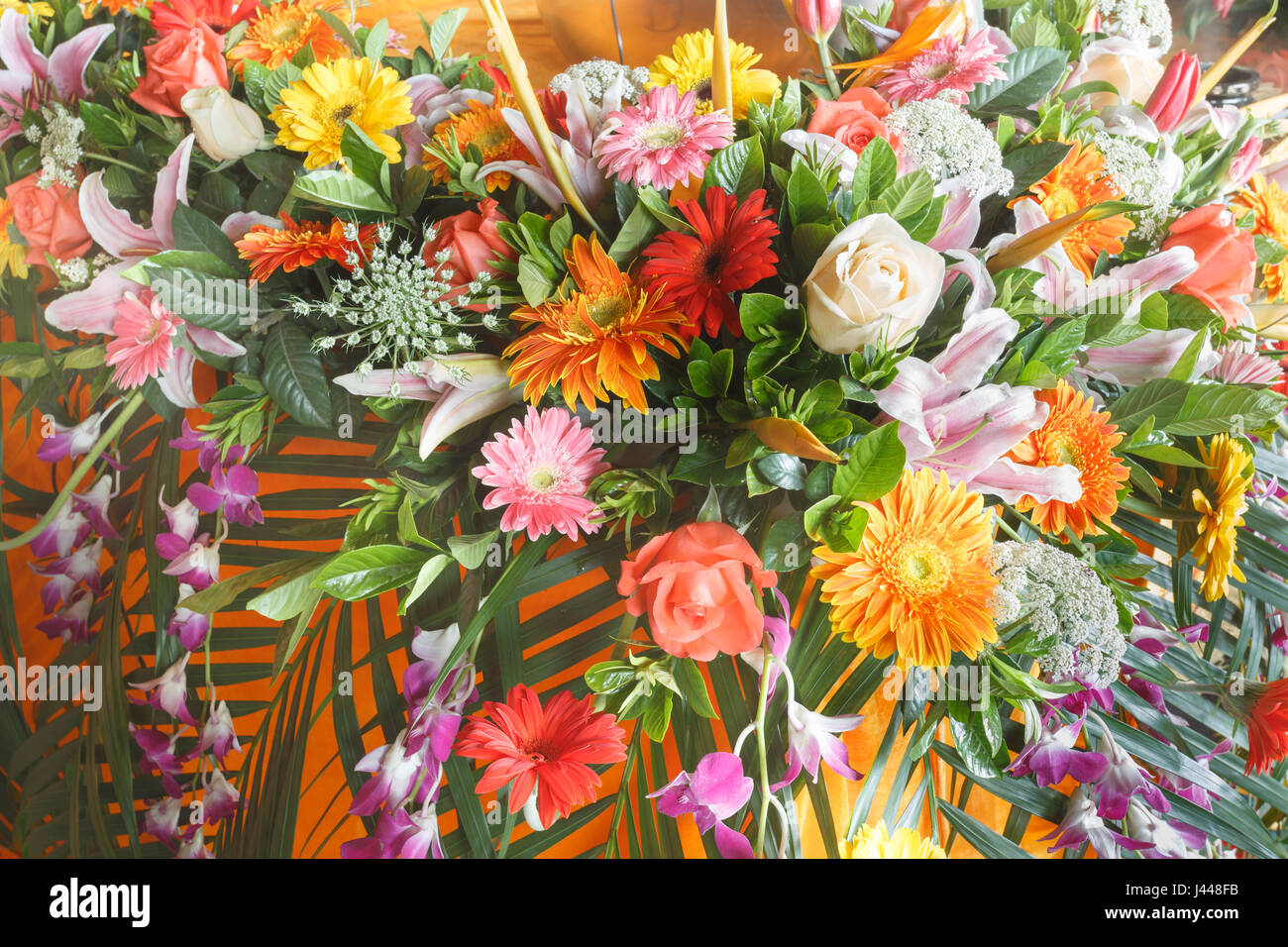 Various color flower arrangement background Stock Photo - Alamy