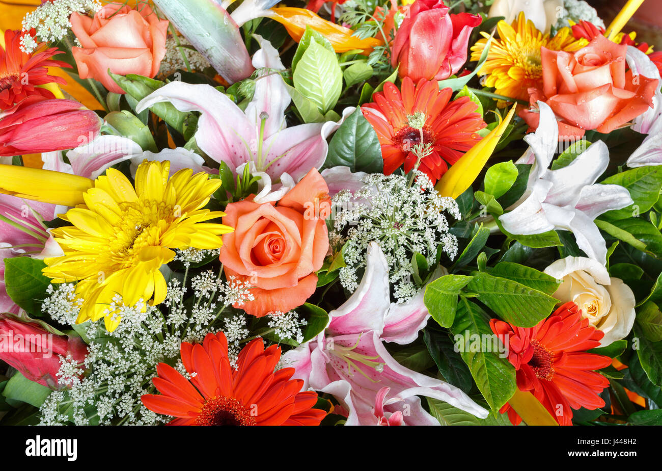Various color flower arrangement background Stock Photo - Alamy