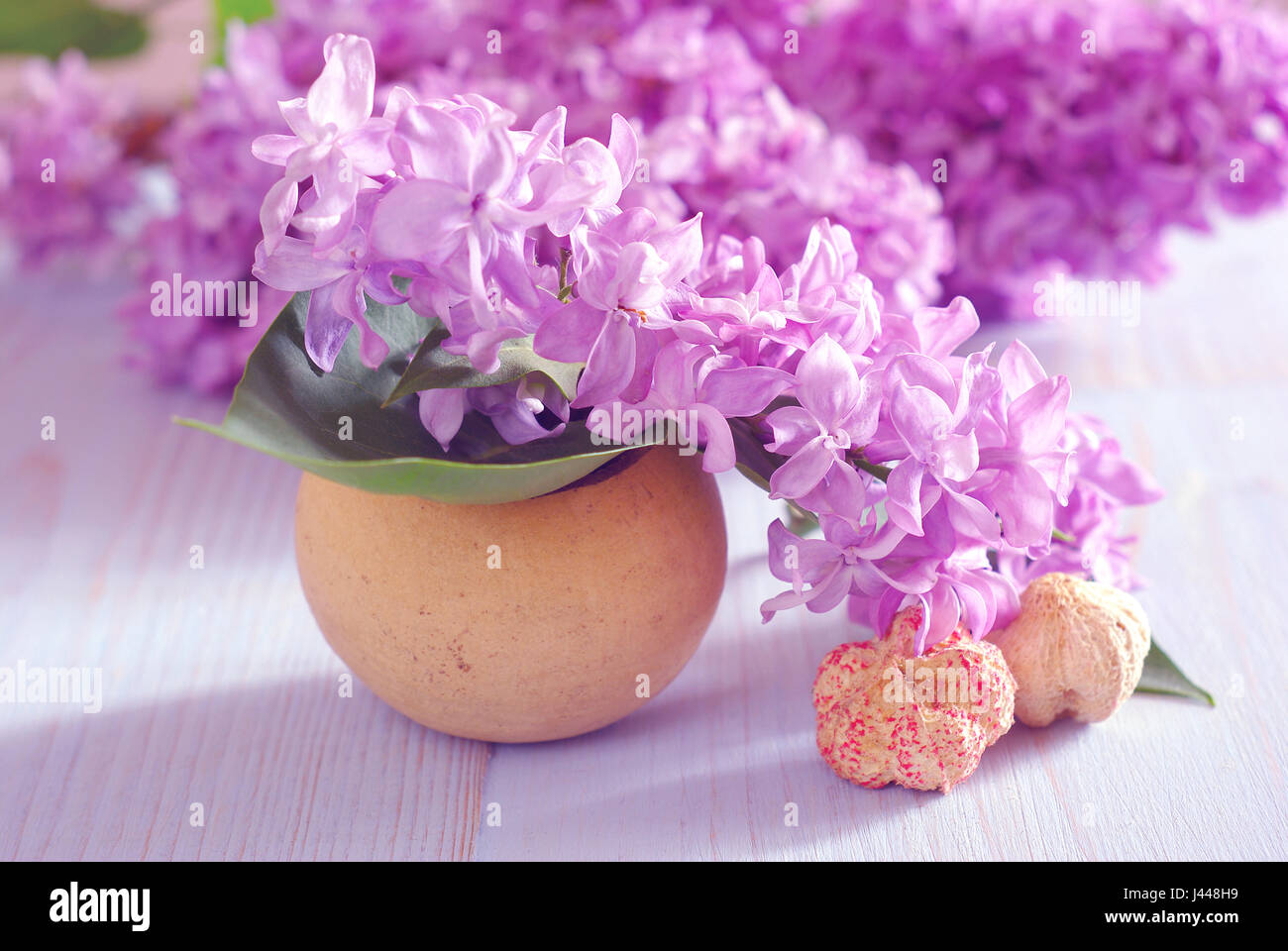 Spring purple lilac fresh flower close-up horizontal still life ...