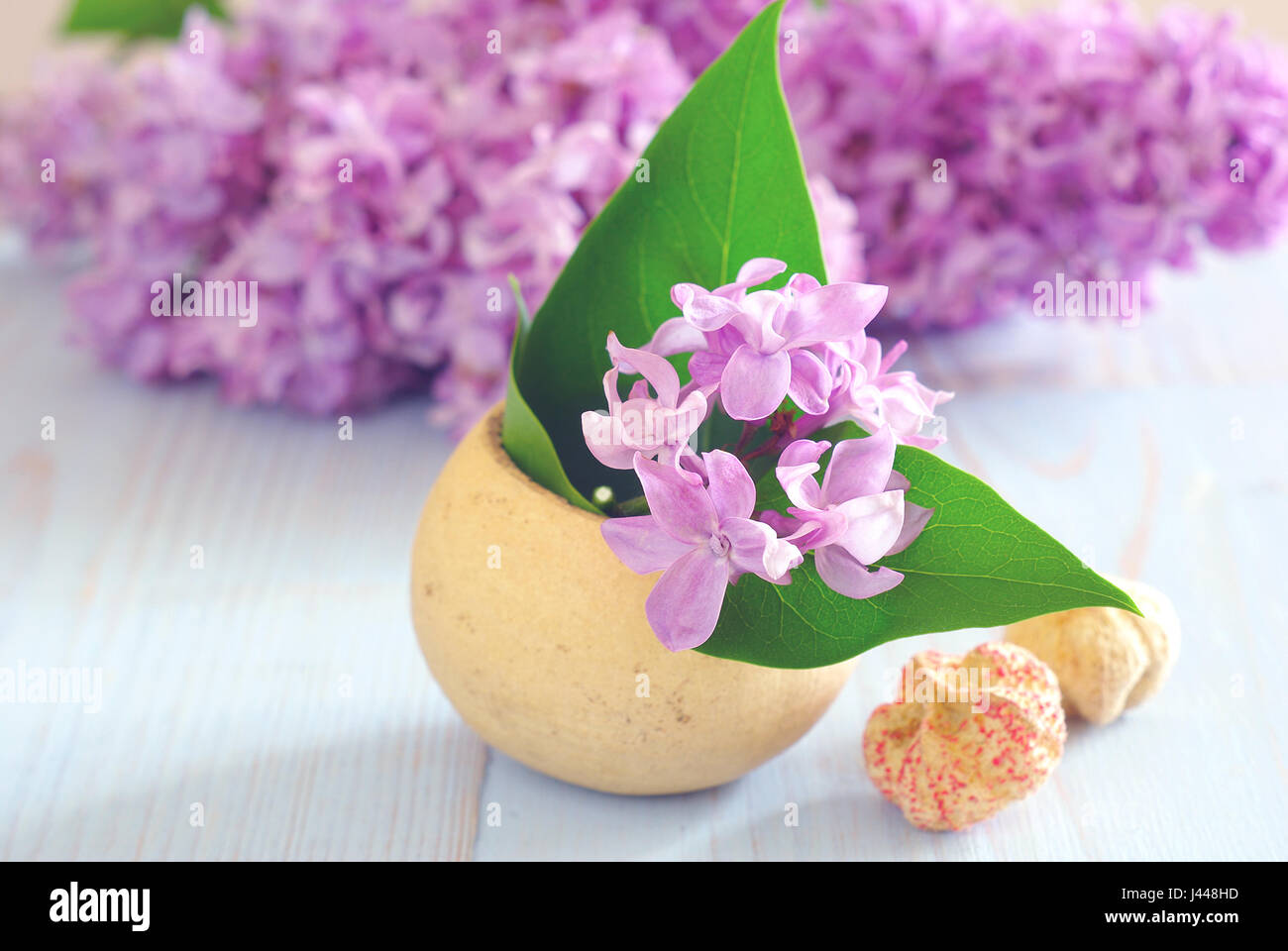 Spring purple lilac flower still life horizontal background. Blooming ...