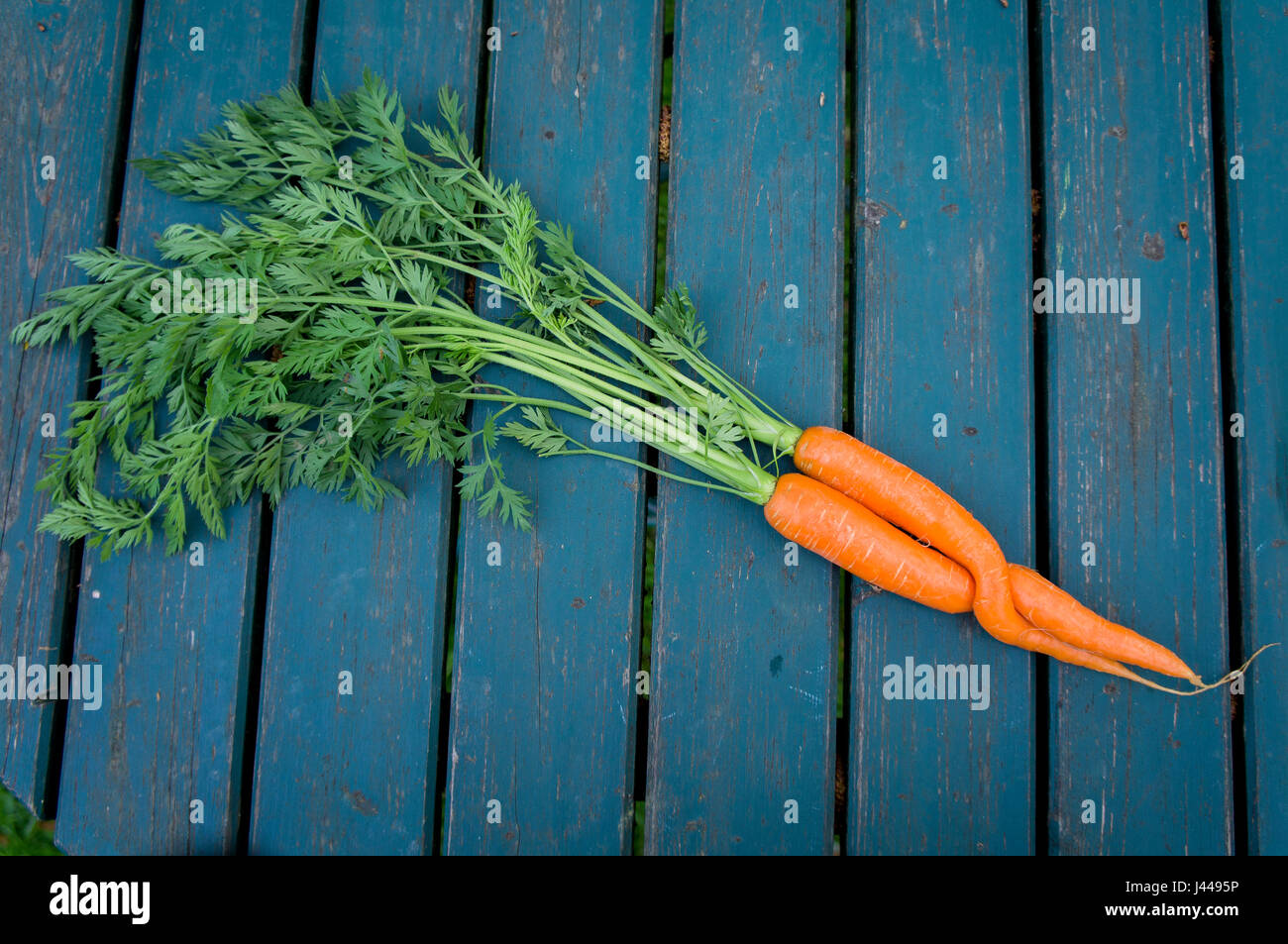 Mishaped vegetable hi-res stock photography and images - Alamy