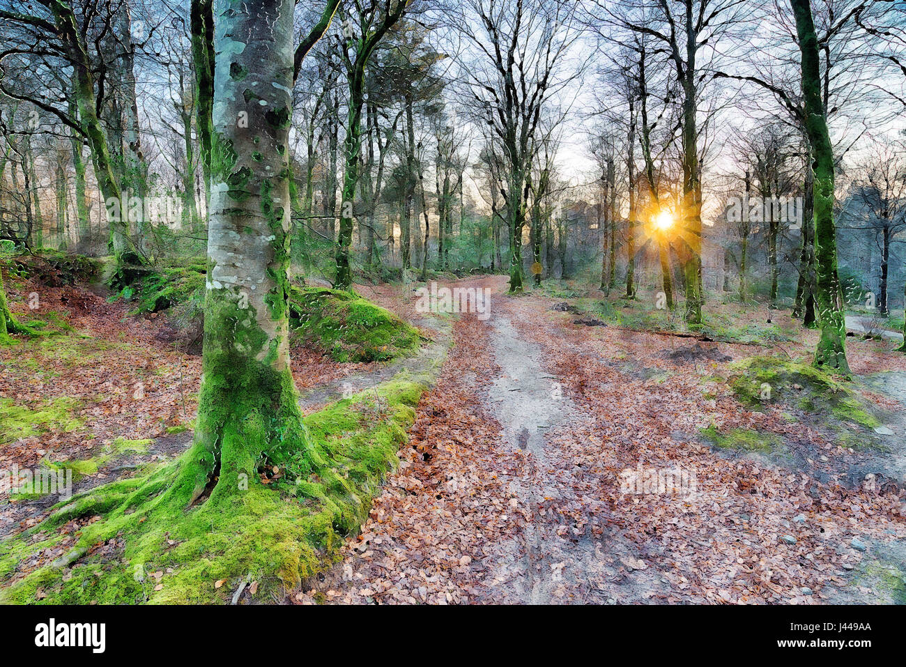 Water color painting of a winter woodland path Stock Photo - Alamy