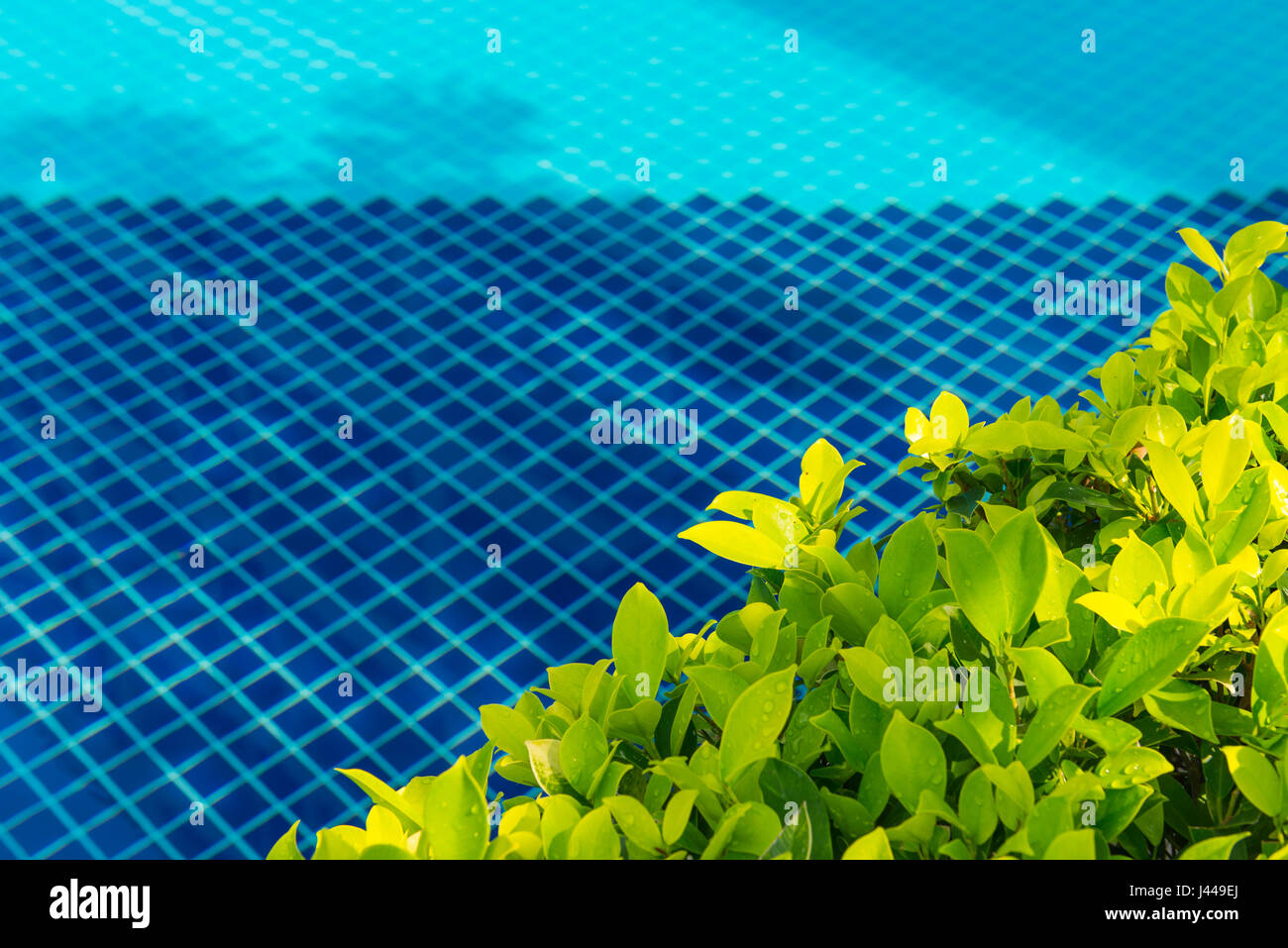 Beautiful Swimming pool in hotel pool resort Stock Photo - Alamy
