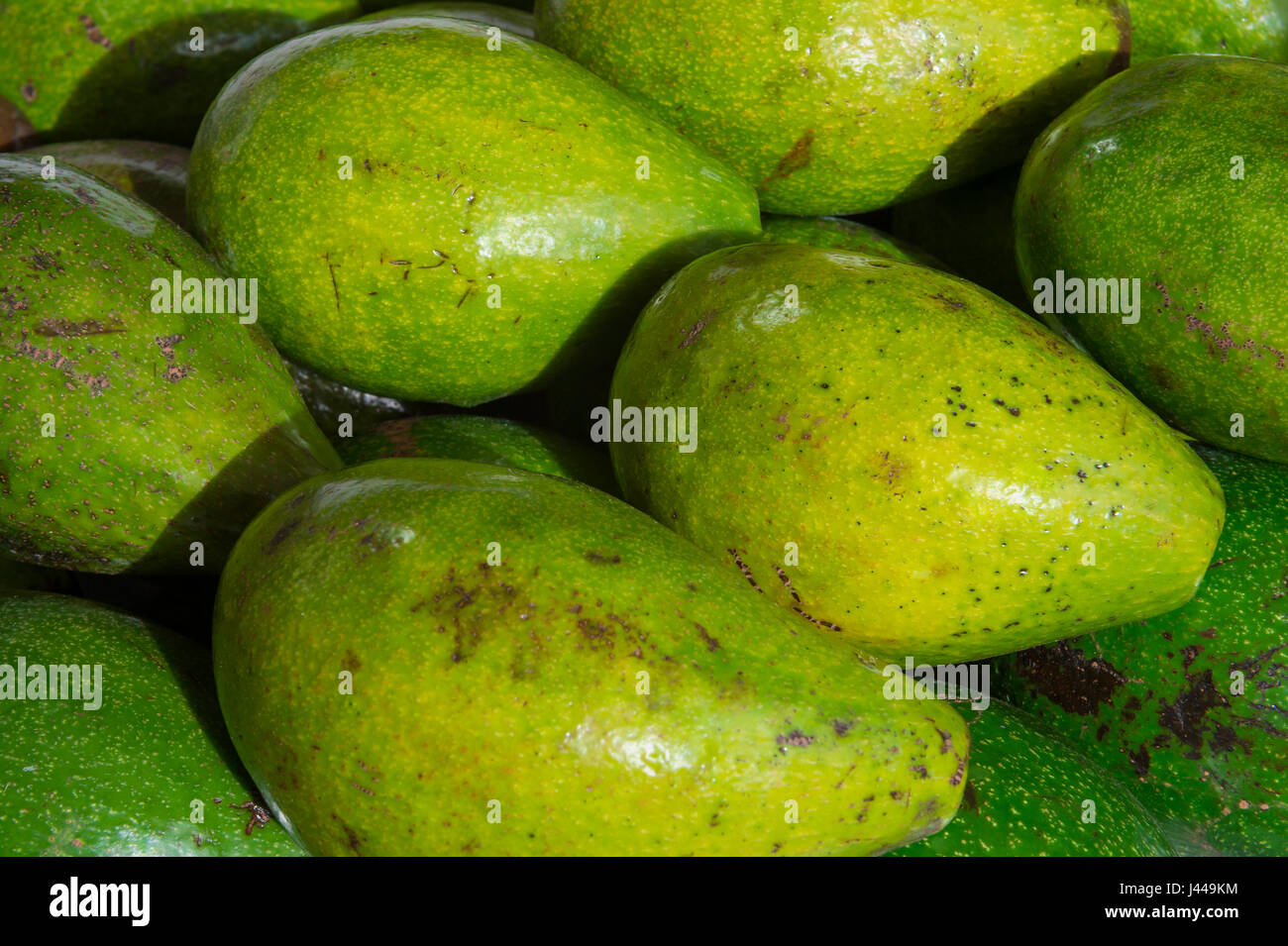 Shiny skin hi-res stock photography and images - Alamy