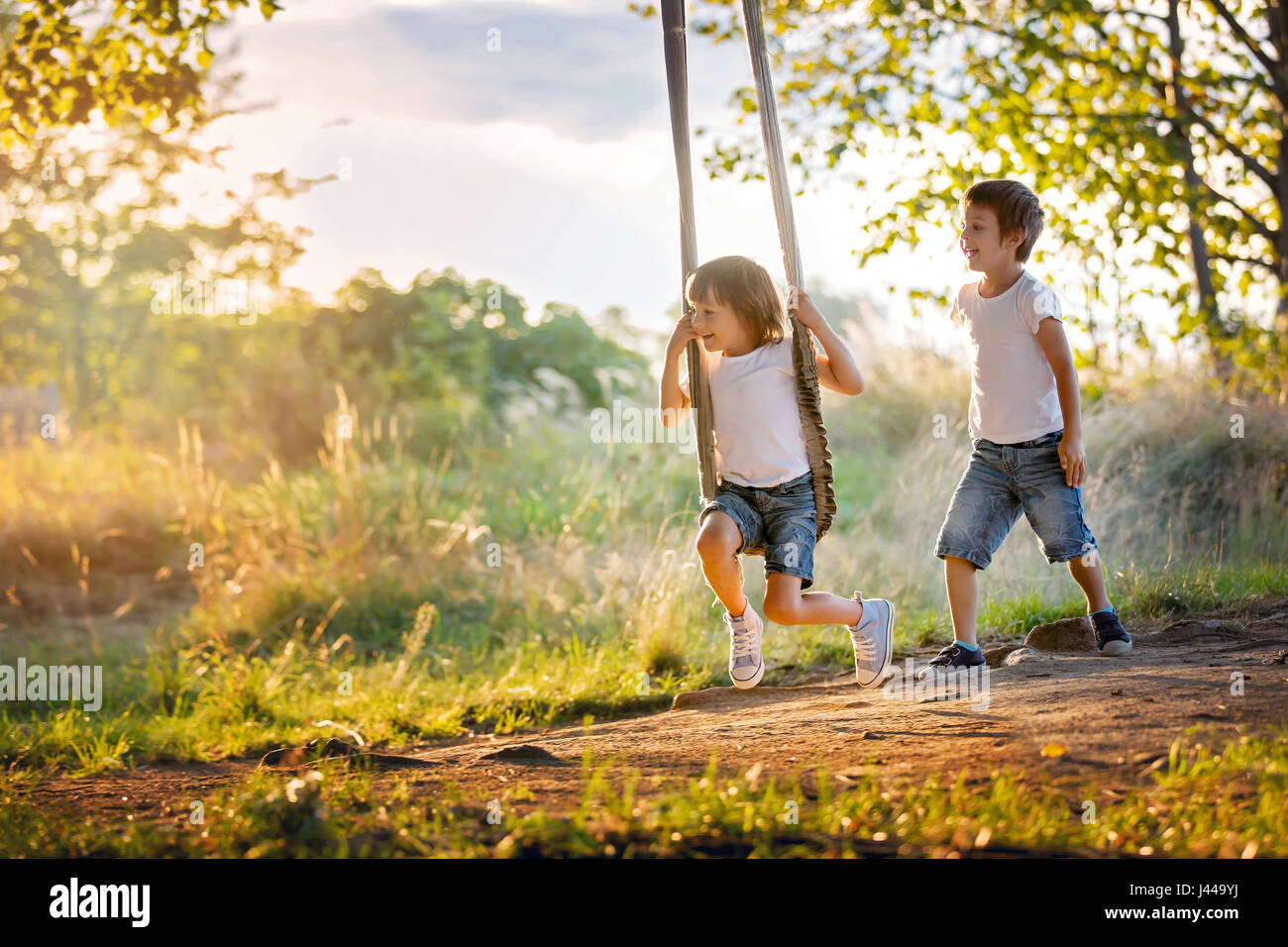 Two children, boy brothers, having fun on a swing in the backyard on ...
