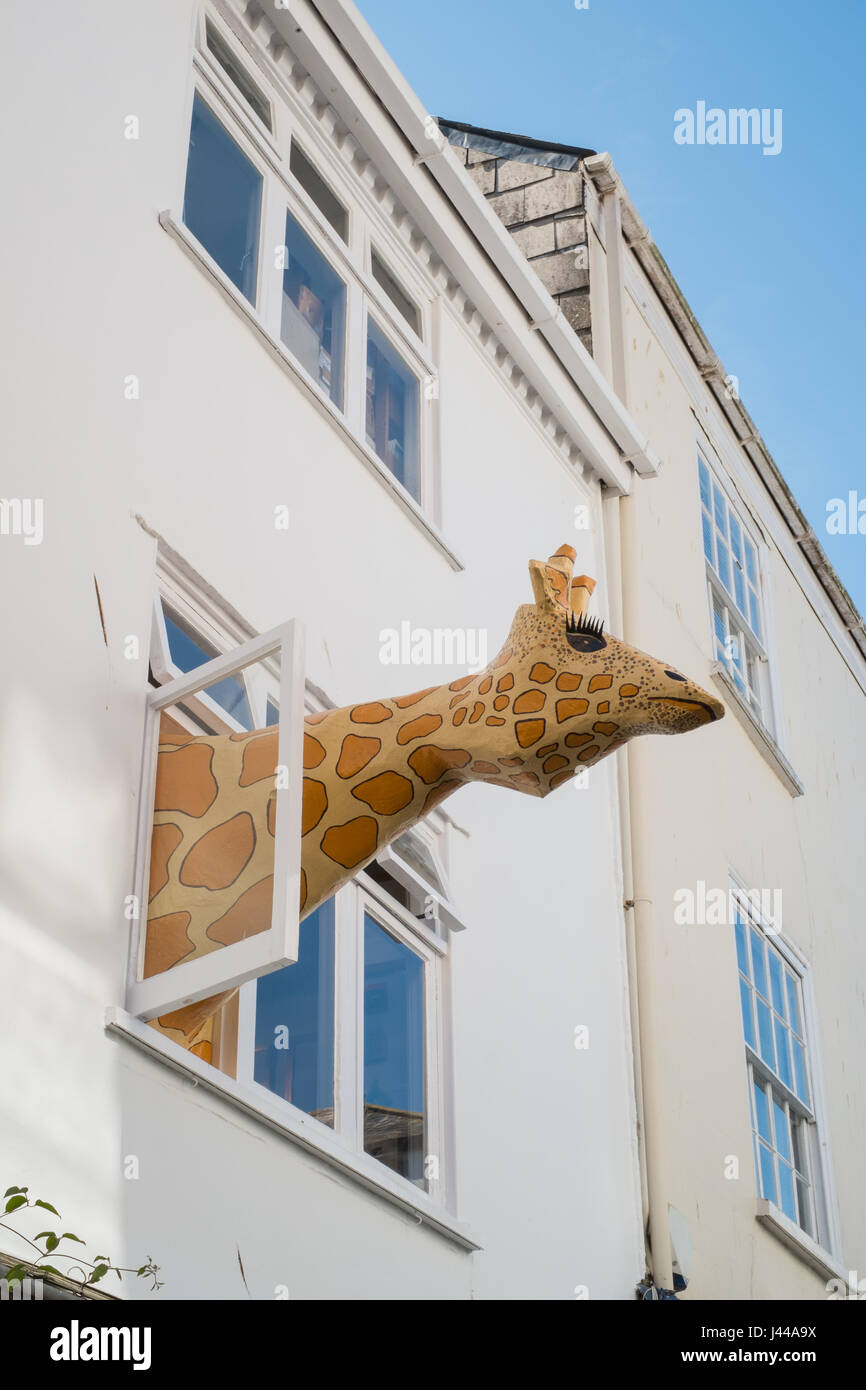 Giraffe looking out of a window on Foss Street , Dartmouth, South Devon ...