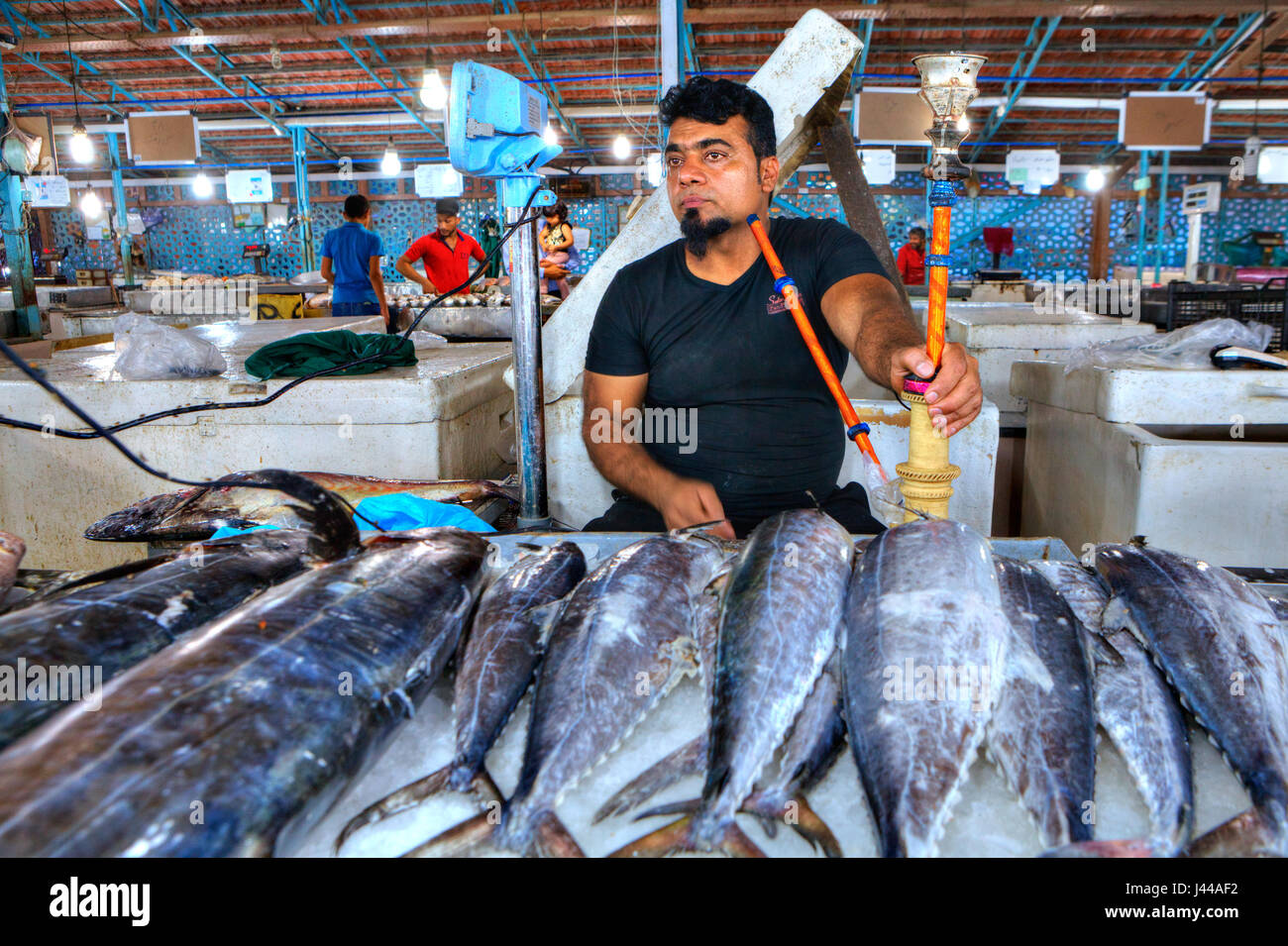 Bandar Abbas, Hormozgan Province, Iran - 15 april, 2017: Fresh tuna ...