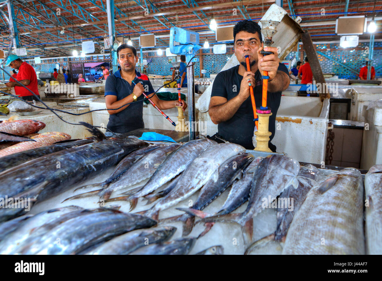 Bandar Abbas, Hormozgan Province, Iran - 15 april, 2017: Fresh chilled ...