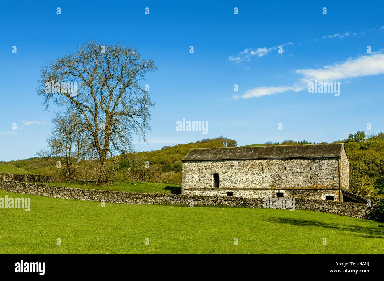 A barn and tree set in English countryside with a green field in the ...