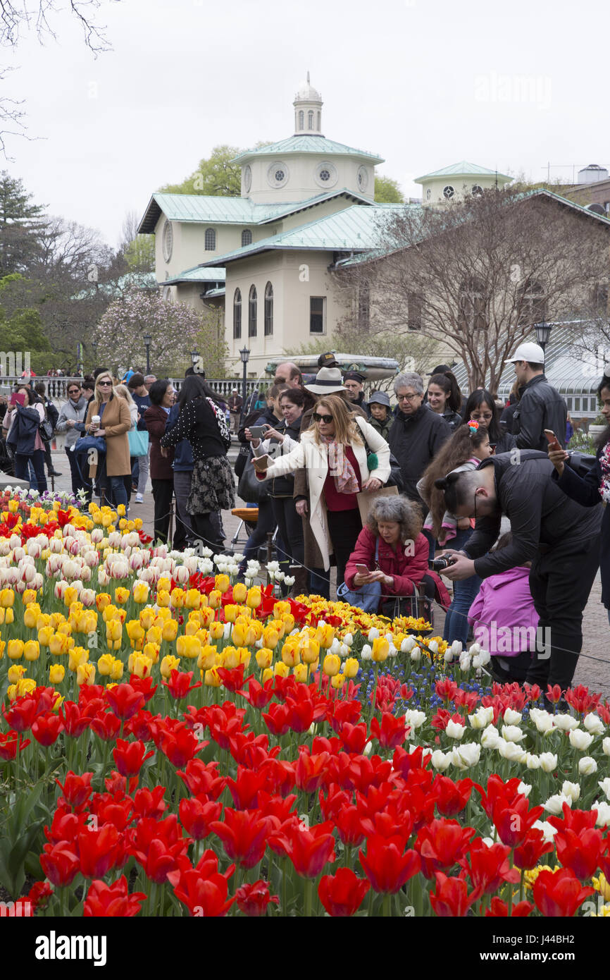 In droves hi-res stock photography and images - Alamy