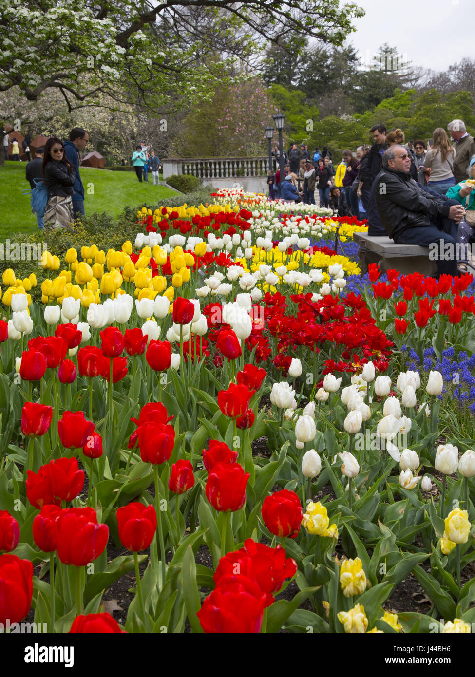 Late spring flowers america hi-res stock photography and images - Alamy