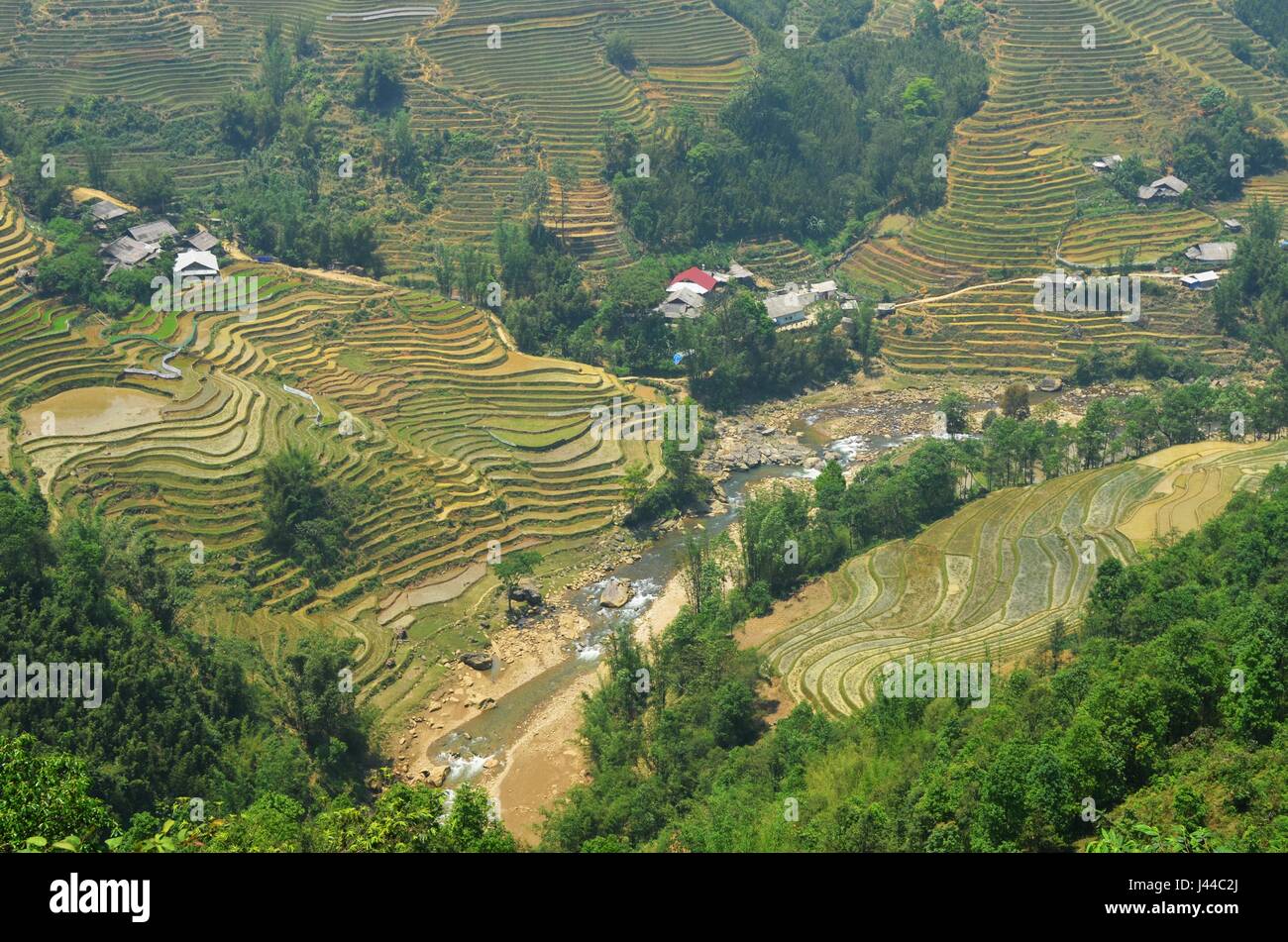 Rice fields of Sapa, Vietnam Stock Photo - Alamy