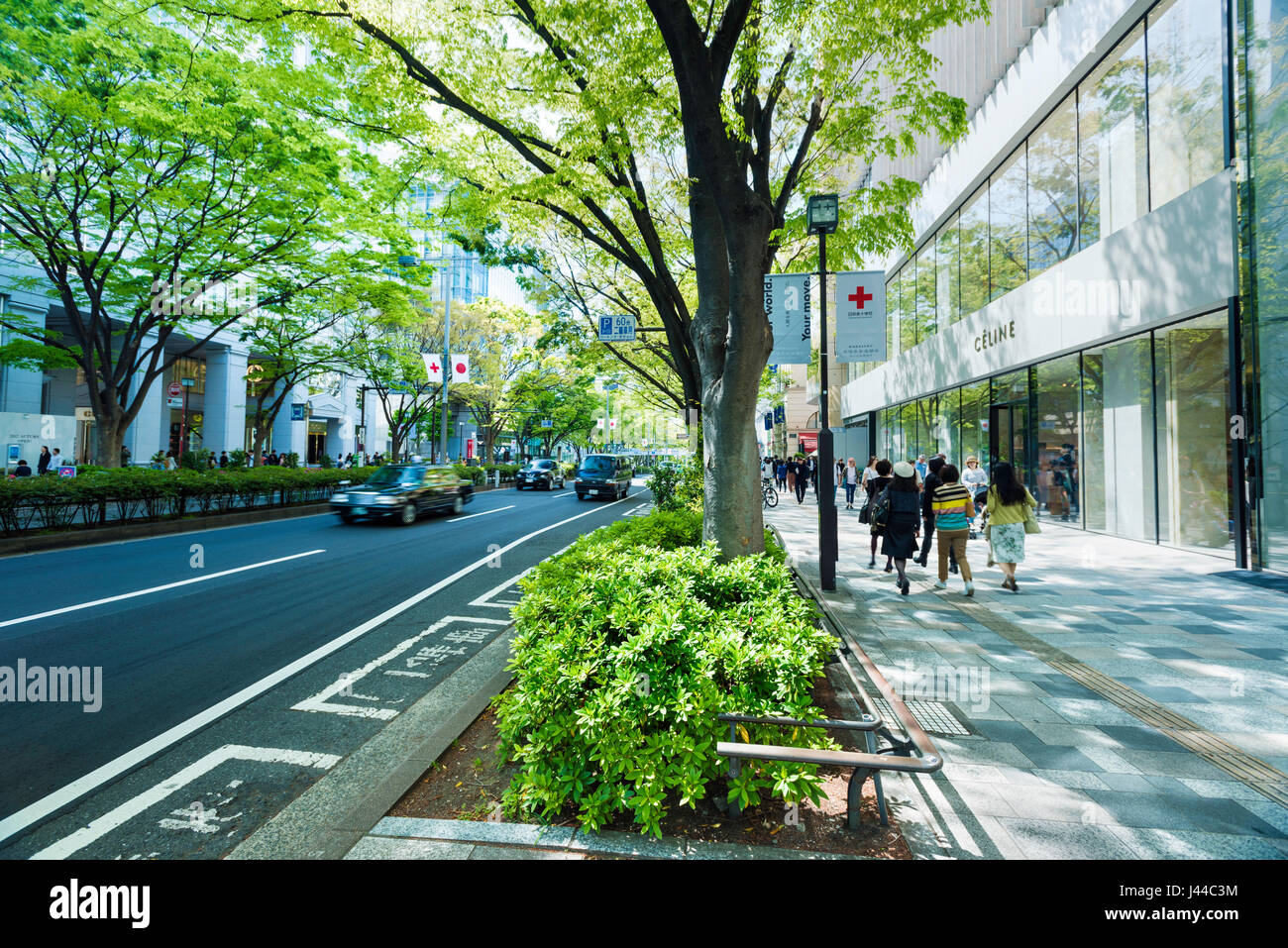 Omotesando shopping street showing the Celine Building and cafe in ...