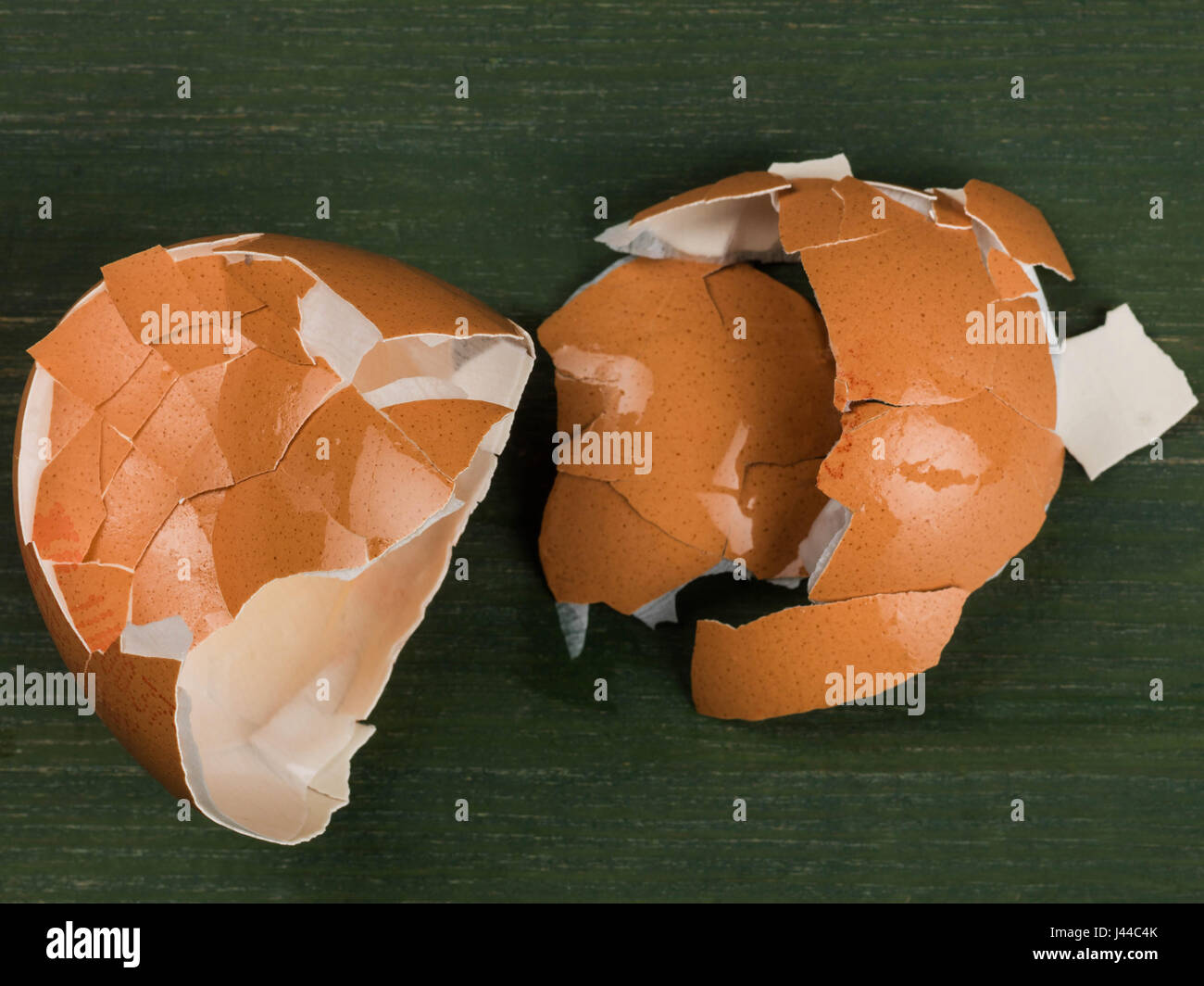 Broken Empty Hens Egg Shell Against a Green Background Stock Photo - Alamy