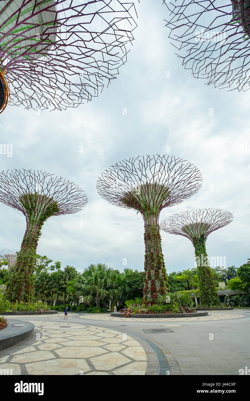 Singapore tree park hi-res stock photography and images - Alamy
