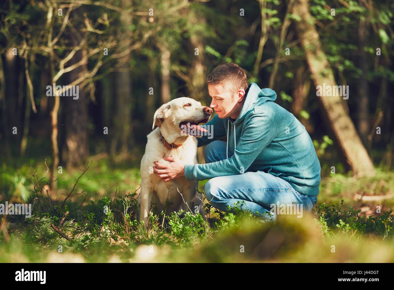 Summer day with dog in nature. Young man with his labrador retriever on ...