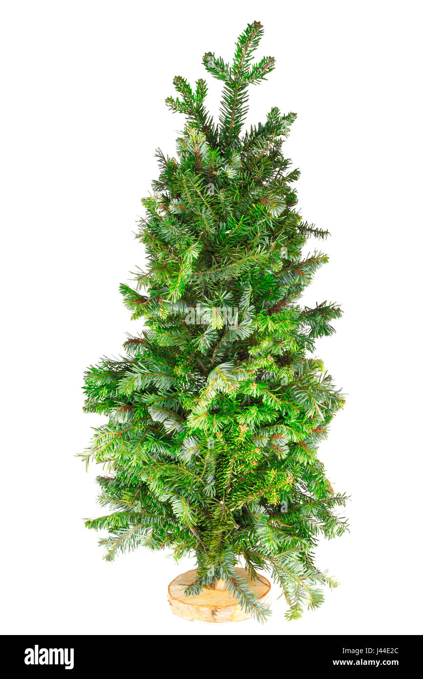 a small tree Christmas tree on a stand Stock Photo - Alamy