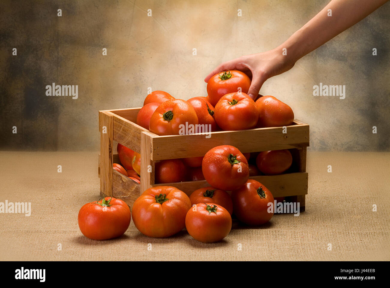 Tomatoes with hand Stock Photo - Alamy